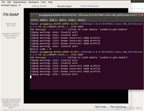 linux 下使用itk snap itk snap linux csdn博客
