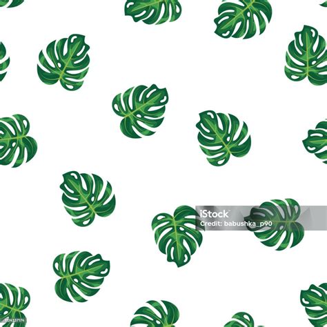 흰색 패턴 배경 열 대 식물과 나무의 녹색 잎 녹색 단풍 Monstera 트리 원활한 패턴 배경입니다 이국적인 열 대 우림 식물 Philodendron 정글 정원 0명에