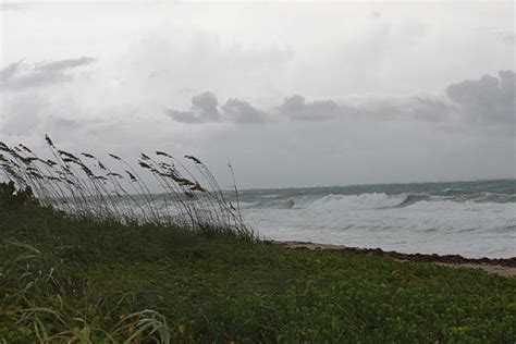 Mais De 320 Fotografias De Stock Fotos E Imagens Royalty Free Sobre