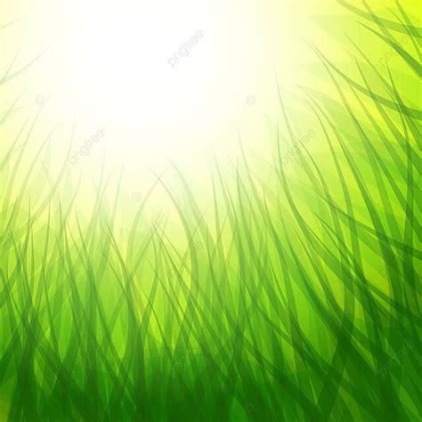 Background With Grass Backdrop Lifestyle Sun Vector Backdrop