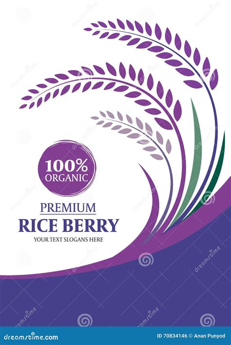 Paddy Rice Organic Grain Products Layout Template Vector Design CartoonDealer Com 76190303