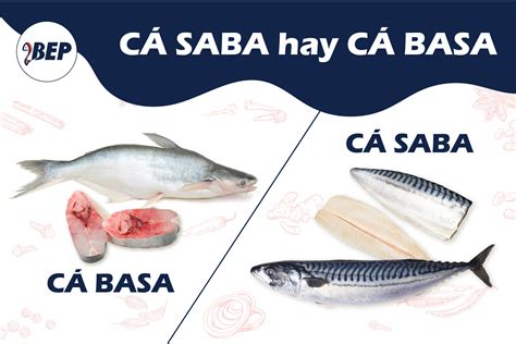 Cá Basa Là Cá Sông Hay Biển Tìm Hiểu Nguồn Gốc Và Bí ẩn Của Loài Cá Thương Mại Phổ Biến