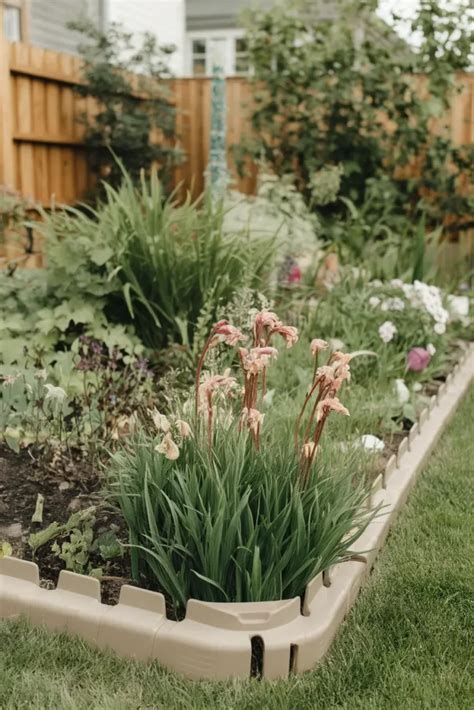 Best Garden Edging Ideas To Elevate Your Landscape