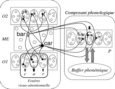 Schematic Representation Of The Multitrace Memory Model Of Polysyllabic Download Scientific