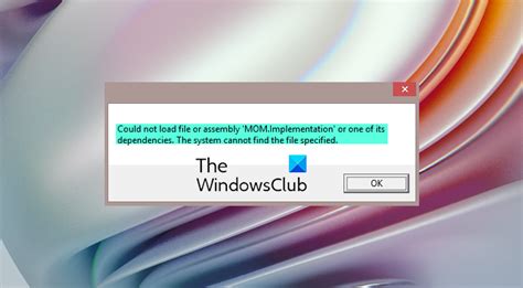 Fix Could Not Load File Or Assembly Momimplementation Error