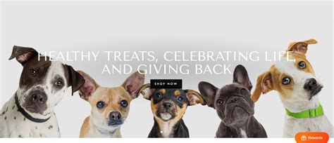 Impulse Theme Shopify A Step By Step Guide To Customizing It