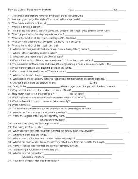 Respiratory System 6th 9th Grade Worksheet Respiratory System