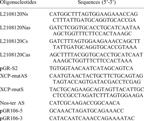 Oligonucleotides Used For Preparation Of Chimeric Constructs And Ic Pcr