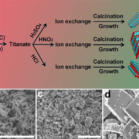A Schematic Synthesis Process Of Tio 2 Micronanostructures Via