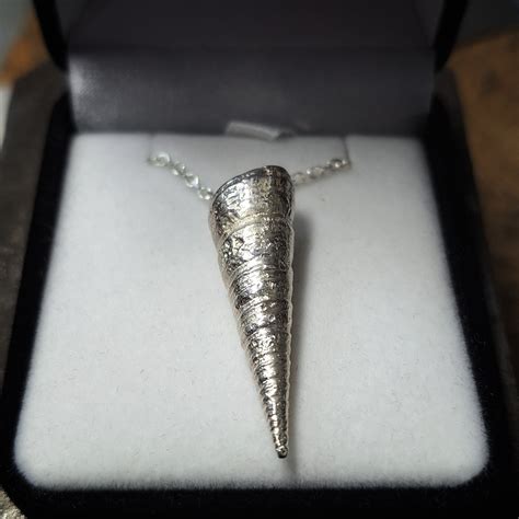 Moana Seashell Barker And Son