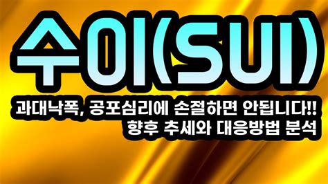 수이sui 투자리포트│과대낙폭 공포심리에 손절하면 안됩니다 향후 추세와 대응방법 분석 Youtube