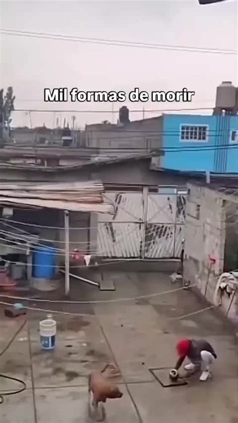 Perfect Timing Album On Imgur