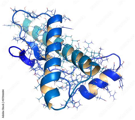 Human Prion Protein Hprp Chemical Structure Ilustración De Stock