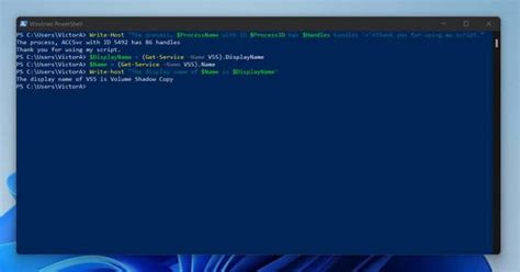 Powershell Write Host Explained