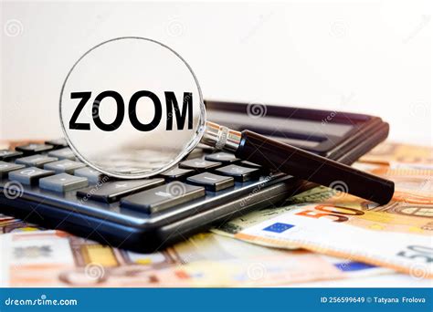 Glass Etching Work Displaying Royal Symbols Insignia Of Holkar Rulers