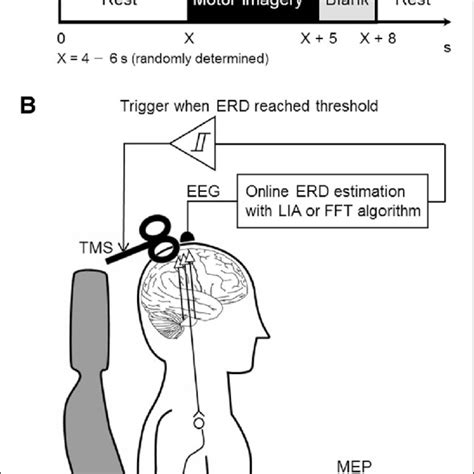 task protocol and experimental setup a timing of the paradigm used in