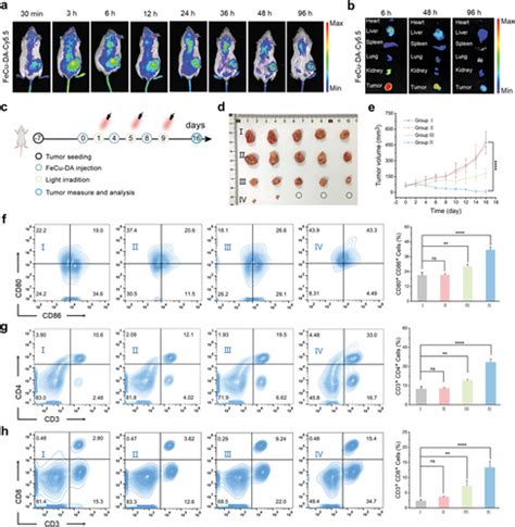A Synergistic Dual‐atom Sites Nanozyme Augments Immunogenic Cell Death