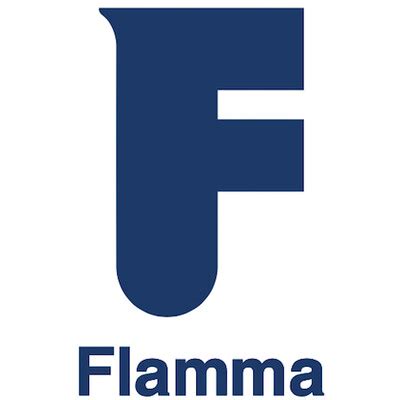 Flamma Group On Linkedin Flamma Group Linkedin