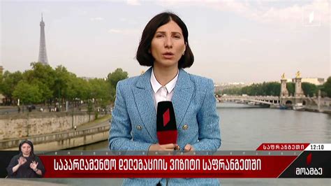 საპარლამენტო დელეგაციის ვიზიტი საფრანგეთში Youtube