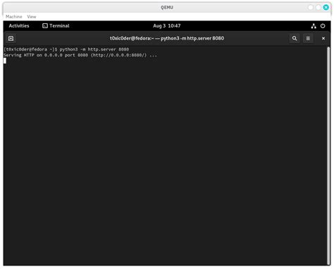 Offloading Domain Tty Output To Console With Original Kernelinitramfs