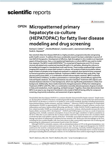 Pdf Micropatterned Primary Hepatocyte Co Culture Hepatopac For