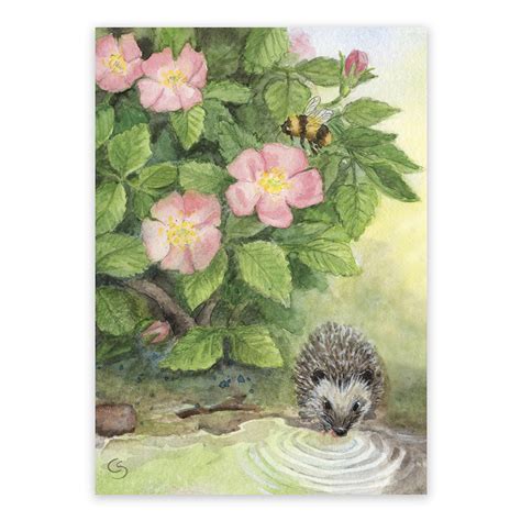 Kleiner Igel Corinna Schwerdtfeger