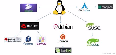 Linux从基础到入门linux操作系统入门 Csdn博客