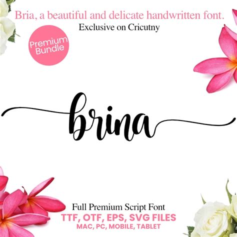 Beautiful Script Handwritten Font Free Premium Bundle Cricut Ny