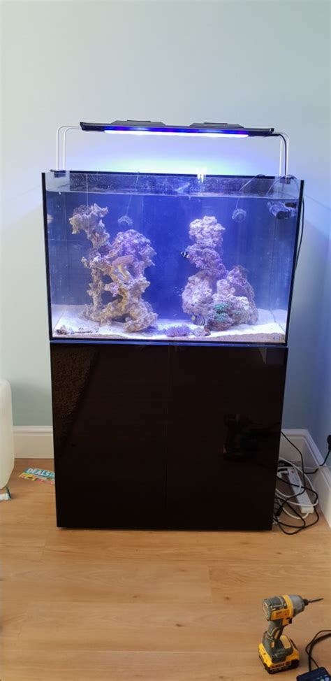 Build Thread Evolution Aqua 900 Build Reef2reef
