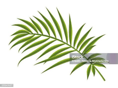 하프톤 그레인 질감의 열대 잎 현대 콜라주 예술을 위한 이국적인 녹색 식물 광고를 위해 흰색 배경에 야자수 잎 벡터 일러스트