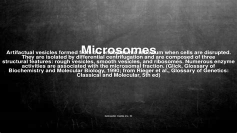 Medical Vocabulary What Does Microsomes Mean Youtube Medical Vocabulary What Does Microsomes Mean Youtube