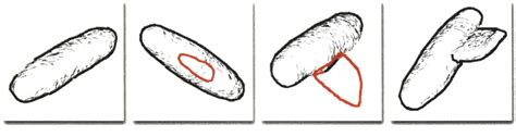 Figure 2 From A Graphical Environment For Gestural Computer Aided