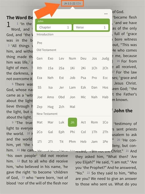 Iphoneipad Navigation Olive Tree