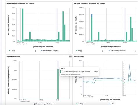 apm dashboard showing unrealistic memory allocation 1eb m apm