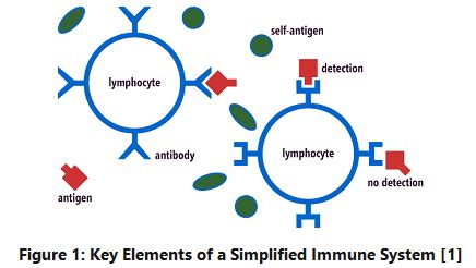 Affecting Artificial Immune Systems In Real Life University Of Kerbala