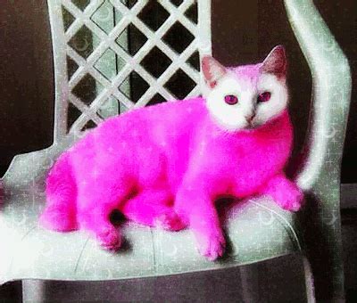 Pinkts Tumblr Com Tumbex