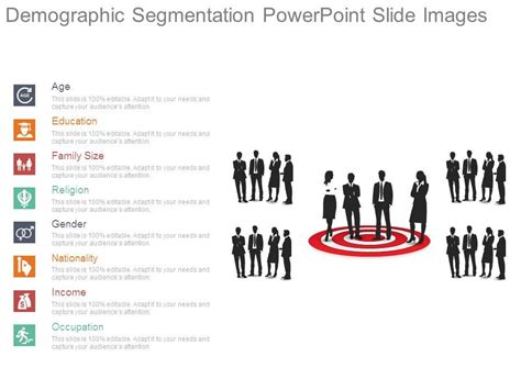 Demographic Segmentation Powerpoint Slide Images Powerpoint Templates