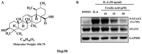 International Journal Of Oncology