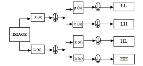 2 Level Dwt Using Filtering Approach Download Scientific Diagram