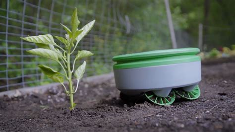 The Tertill Gardening Robot Does The Weeding While Youre Away Designs And Ideas On Dornob