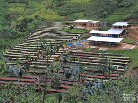 Rwanda Nyamasheke Gitwe