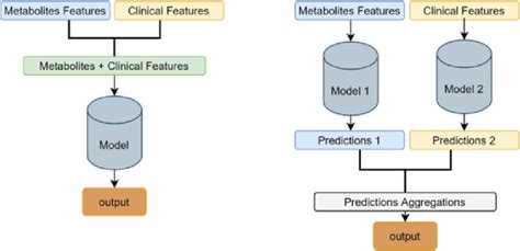 Joint Classification Models Early And Late Model Joint Cnn Model