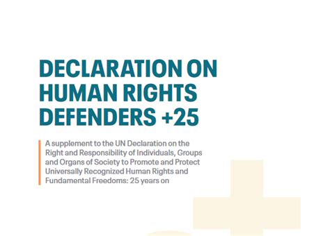 Declaration25 Articulating International Standards To Protect The