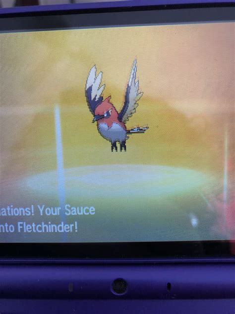 [7] Shiny Fletchling Found Using Sos Method R Shinypokemon