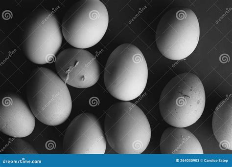 Raw Chicken Eggs In Black And White Closeup Stock Image Image Of Flat