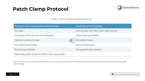 Patch Clamp Assay A Detailed Step By Step Description Of The Standard