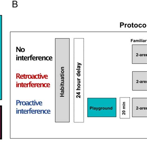 The Protocol Schematic And The Performance Of The Nor Task With Download Scientific Diagram