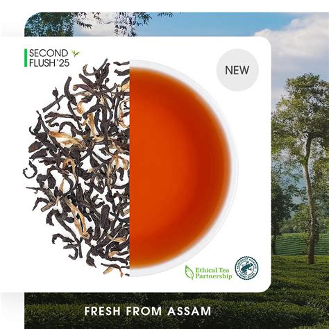 Buy 2025 Assam Mokalbari Summer Black Tea Online Teabox