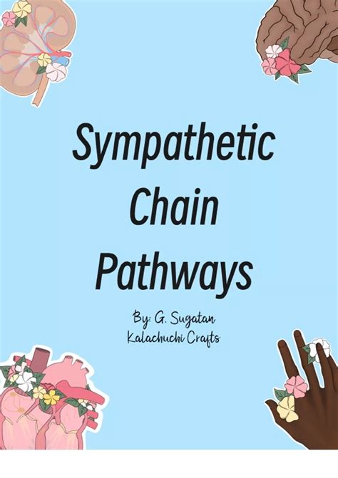 Summary Sympathetic Chain Pathways Made Easy Anatomy Stuvia Us