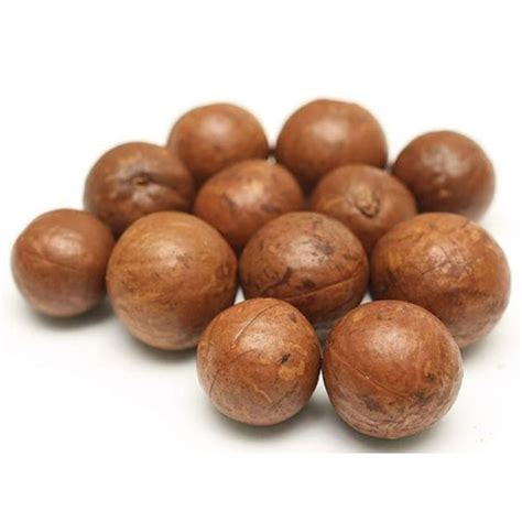 Макадамия в скорлупе Крупная орехи 1 кг купить в интернет магазине